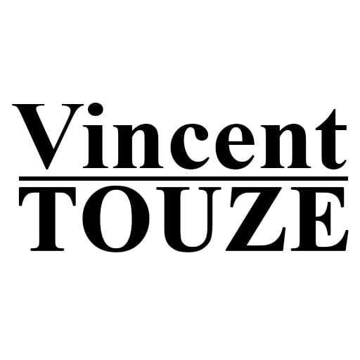 Vincent Touze - Docteur en Sciences Politiques. Spécialisé dans les ...